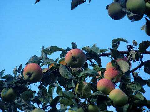 Fare Bilder – Durchsuchen 37,392 Archivfotos, Vektorgrafiken und Videos ...