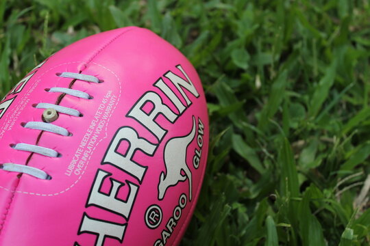 Aflw Images – Browse 15 Stock Photos, Vectors, and Video | Adobe Stock