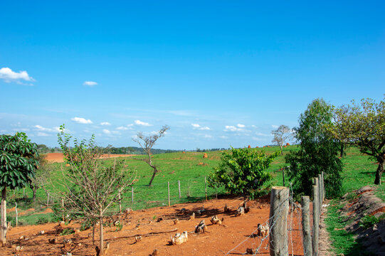 Imágenes de Minifundio: descubre bancos de fotos, ilustraciones ...