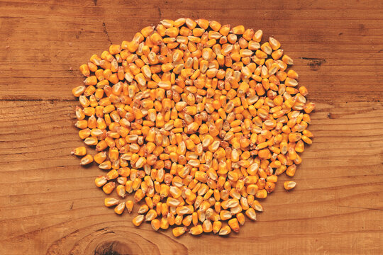 "Shelled Corn" Images – Browse 44 Stock Photos, Vectors, and Video ...