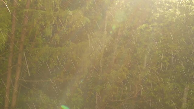 Sunshower Images – Browse 1,109 Stock Photos, Vectors, and Video ...