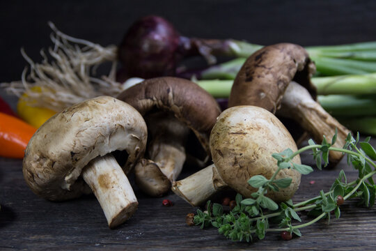 Champinion Bilder – Durchsuchen 142 Archivfotos, Vektorgrafiken und ...