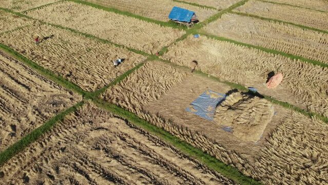 Peasantry Images – Browse 14,184 Stock Photos, Vectors, and Video ...