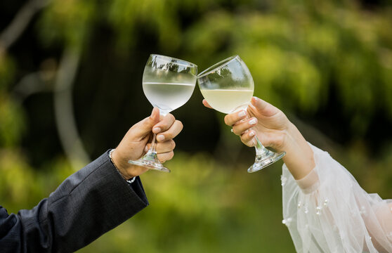 Imagens de Brindando – Explore Fotografias do Stock, Vetores e Vídeos ...