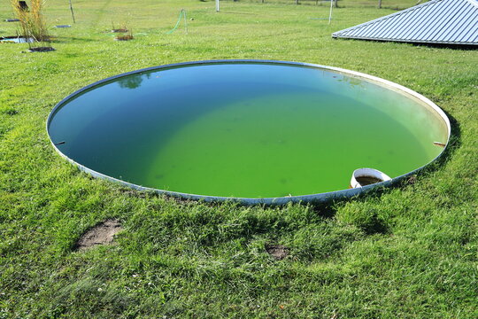 รูปภาพAtmometer – เลือกดูภาพถ่ายสต็อก เวกเตอร์ และวิดีโอ2 | Adobe Stock