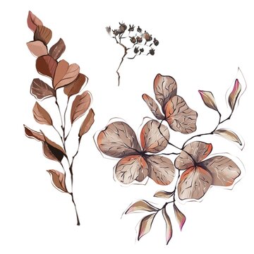 Brown Flowers Clip Art
