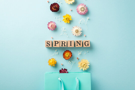 Free Spring Images – Browse 43,852 Free Stock Photos, Vectors, and ...