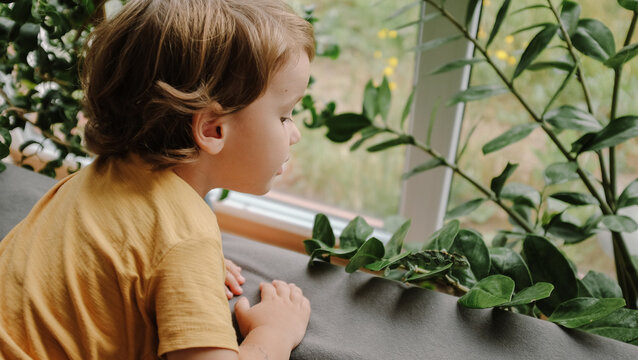 Neugierde Bilder – Durchsuchen 353,124 Archivfotos, Vektorgrafiken und ...