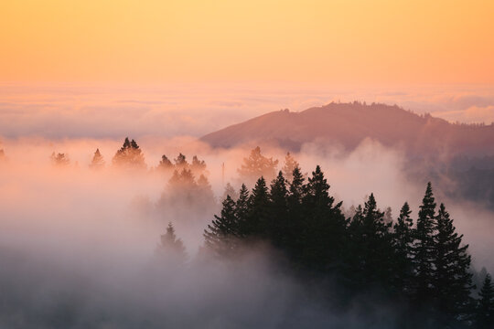 Fog Images – Browse 2,594,113 Stock Photos, Vectors, and Video | Adobe ...