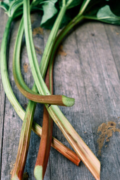 Stalk Images – Browse 2,495,743 Stock Photos, Vectors, and Video ...