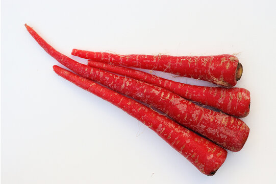 Red Carrot