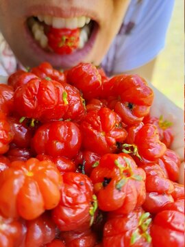 Tupi-Guarani Images – Browse 18 Stock Photos, Vectors, and Video ...