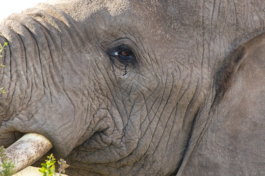 Kws-Bilder: Stock-Fotos & -Videos. | Adobe Stock