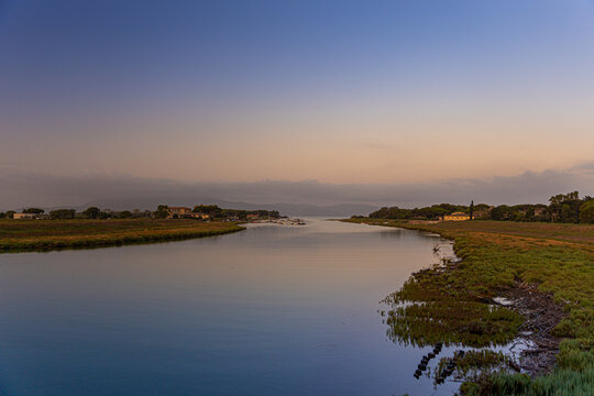 Albinia Images – Browse 39 Stock Photos, Vectors, and Video | Adobe Stock