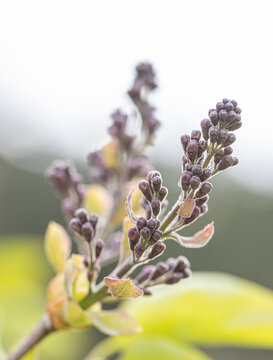 Spaeth Images – Browse 19 Stock Photos, Vectors, and Video | Adobe Stock