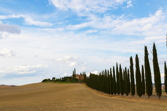 Foto, immagini, risorse di Massimo Cattaneo | Adobe Stock