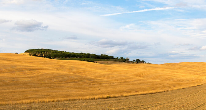 Foto, immagini, risorse di Massimo Cattaneo | Adobe Stock