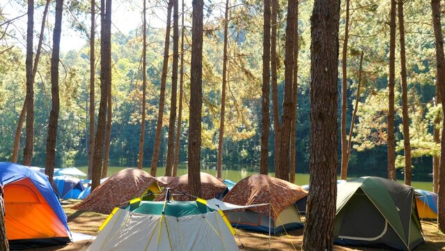Imágenes de Campismo: descubre bancos de fotos, ilustraciones, vectores ...