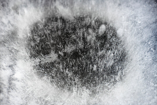 Luschen Bilder – Durchsuchen 469,558 Archivfotos, Vektorgrafiken und ...