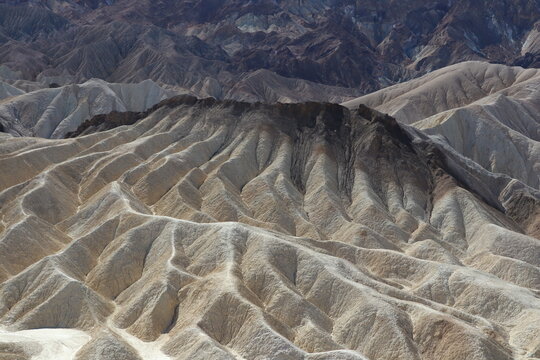 Aride bilder – Bläddra bland 13,027 stockfoton, vektorer och videor ...