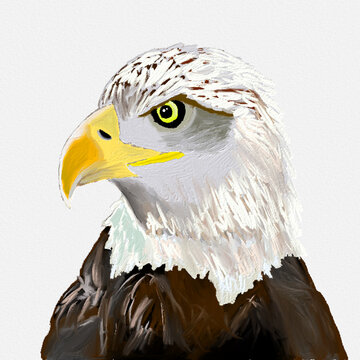 Pfettenkopf Bilder – Durchsuchen 912 Archivfotos, Vektorgrafiken und ...