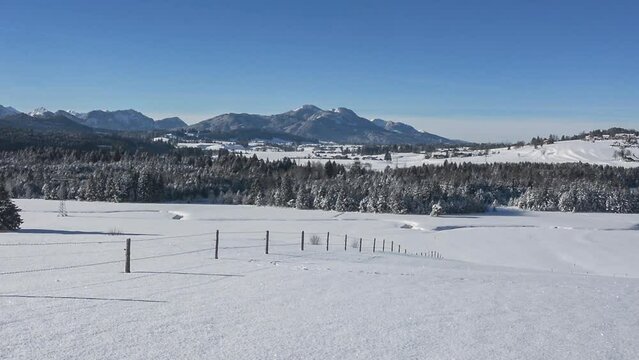 "Seeg Images – Browse 313 Stock Photos, Vectors, and Video | Adobe Stock