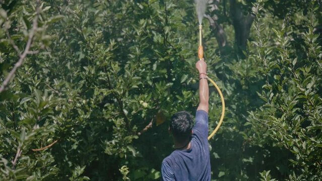 Backshot Video Footage – Browse 138 HD Stock Video and Footage | Adobe ...