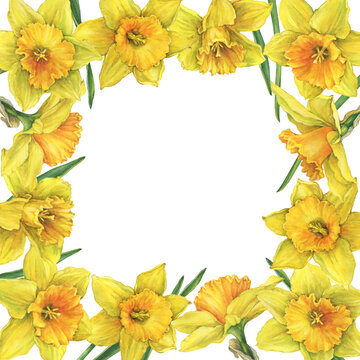 Easter Lily Frame