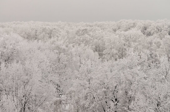 Schneeschauer Bilder – Durchsuchen 17,512 Archivfotos, Vektorgrafiken ...