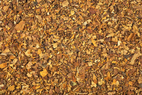 Tobacco Texture
