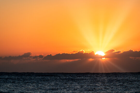 Afbeeldingen over "Day Break" – Blader in stockfoto's, vectoren en ...