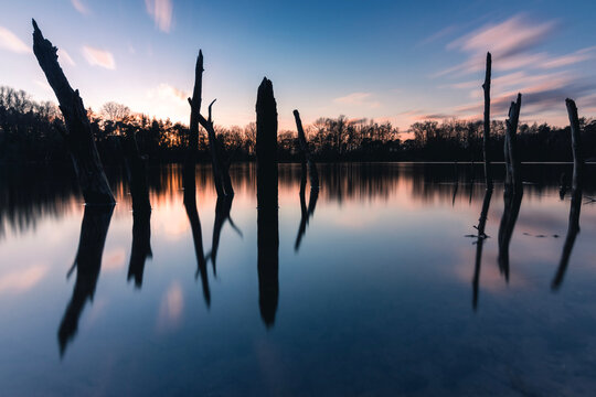 รูปภาพWoog – เลือกดูภาพถ่ายสต็อก เวกเตอร์ และวิดีโอ284 | Adobe Stock