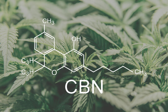 Cannabinol Bilder – Durchsuchen 4,749 Archivfotos, Vektorgrafiken und ...