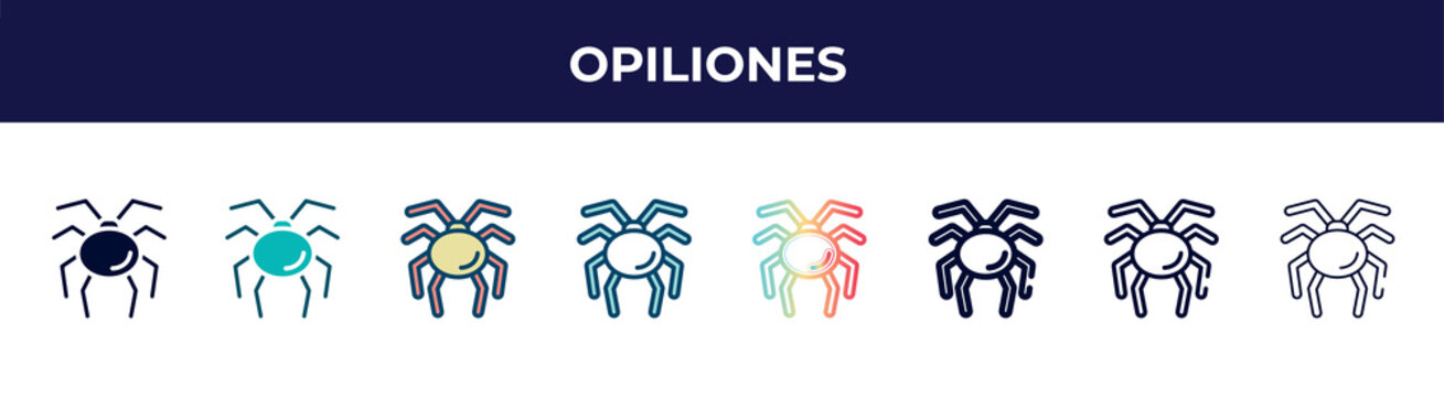 Opiliones Images – Browse 2,307 Stock Photos, Vectors, and Video ...