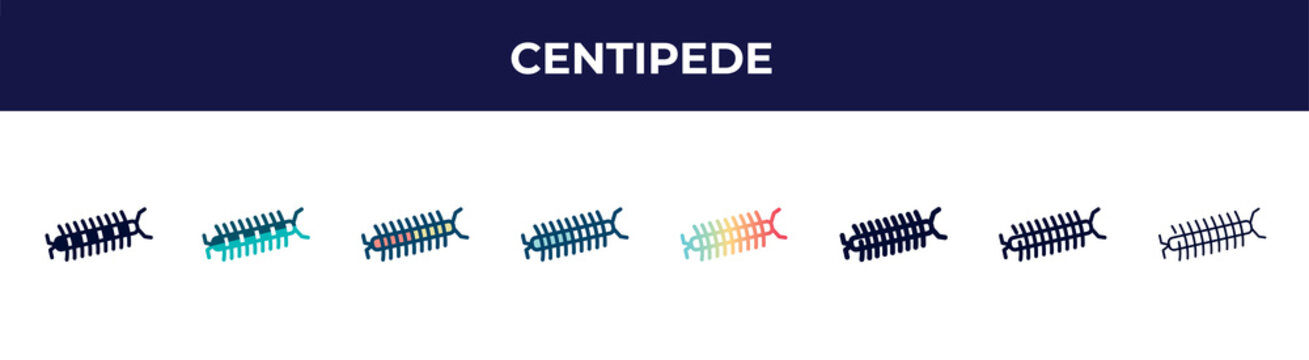 Centipede Images – Browse 12,962 Stock Photos, Vectors, and Video ...