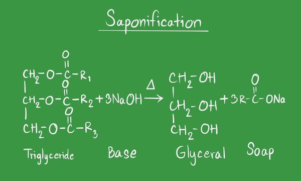 Saponification Reaction