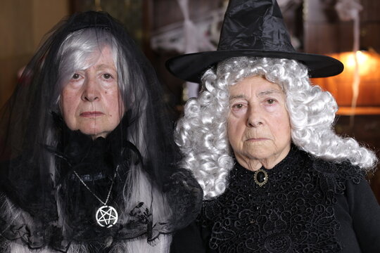 Companions Images – Browse 423,411 Stock Photos, Vectors, and Video ...