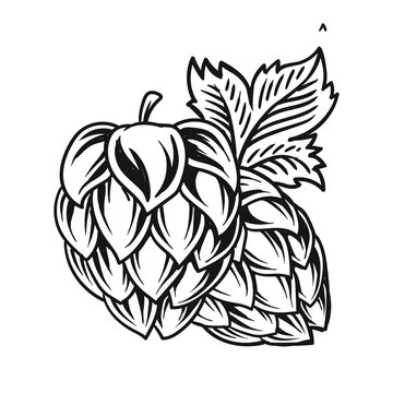 Hopfen Logo Bilder – Durchsuchen 5,398 Archivfotos, Vektorgrafiken und ...