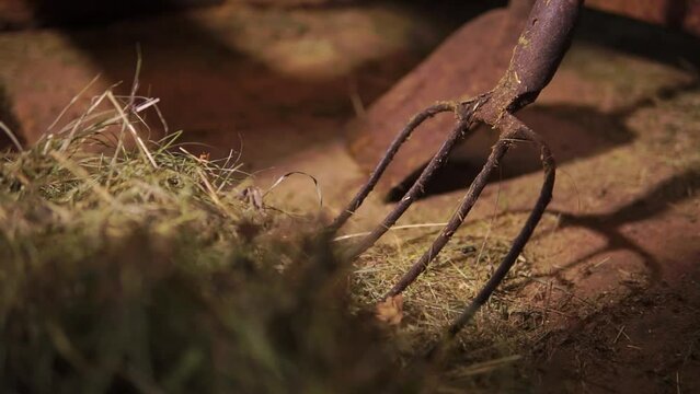 รูปภาพHayfork – เลือกดูภาพถ่ายสต็อก เวกเตอร์ และวิดีโอ1,946 | Adobe Stock