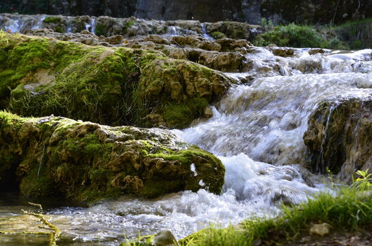 Preciosa Images – Parcourir 3,853 le catalogue de photos, vecteurs et ...