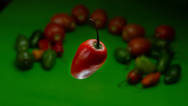 Imágenes de Locoto: descubre bancos de fotos, ilustraciones, vectores y ...