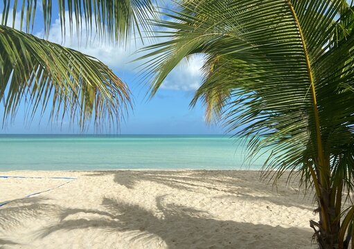 Free Beach Images – Browse 45,658 Free Stock Photos, Vectors, and Video ...