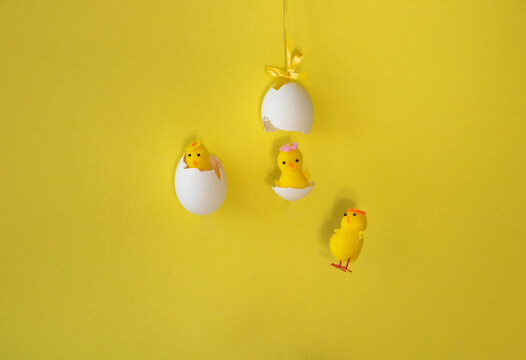Egge Images – Browse 2,655,764 Stock Photos, Vectors, and Video | Adobe ...