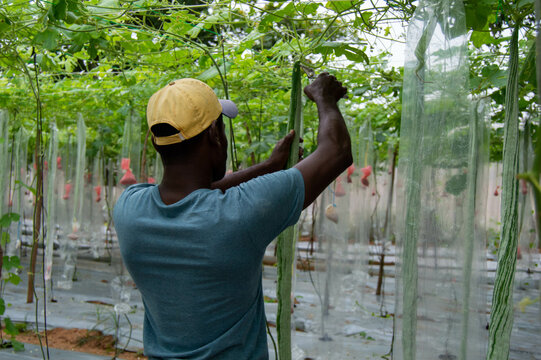 รูปภาพPadwal – เลือกดูภาพถ่ายสต็อก เวกเตอร์ และวิดีโอ898 | Adobe Stock