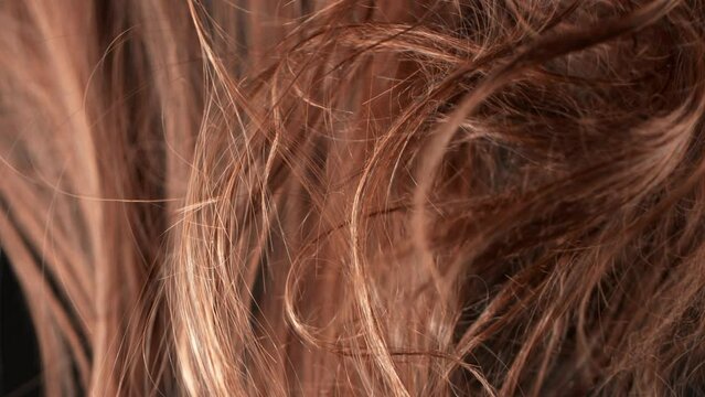 รูปภาพSlatternly – เลือกดูภาพถ่ายสต็อก เวกเตอร์ และวิดีโอ957 | Adobe Stock