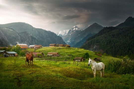 "Countryside Background" Images – Browse 1,689 Stock Photos, Vectors ...