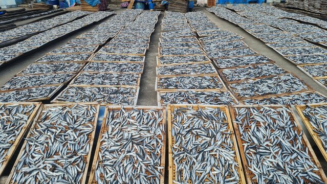 Jaadi-Bilder: Stock-Fotos & -Videos. | Adobe Stock