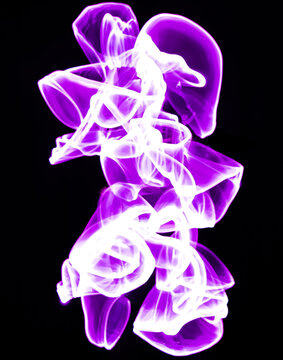 Pascal photos, images, assets | Adobe Stock