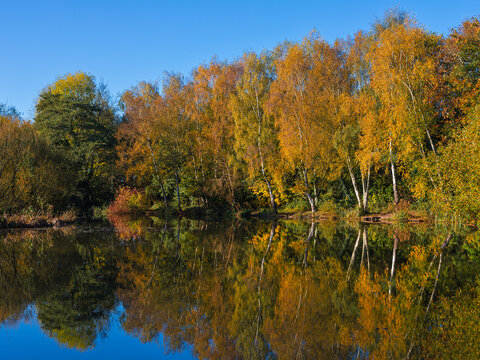 「Dutton」の画像 - 130 件の Stock 写真、ベクターおよびビデオ | Adobe Stock