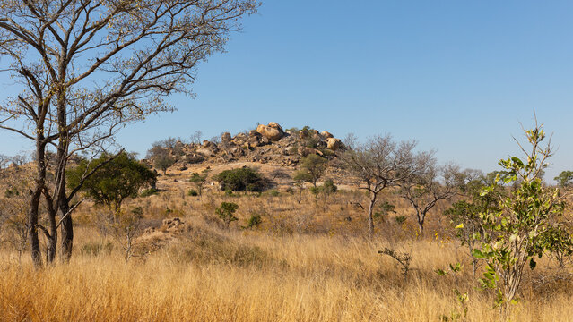 รูปภาพFelse – เลือกดูภาพถ่ายสต็อก เวกเตอร์ และวิดีโอ290 | Adobe Stock